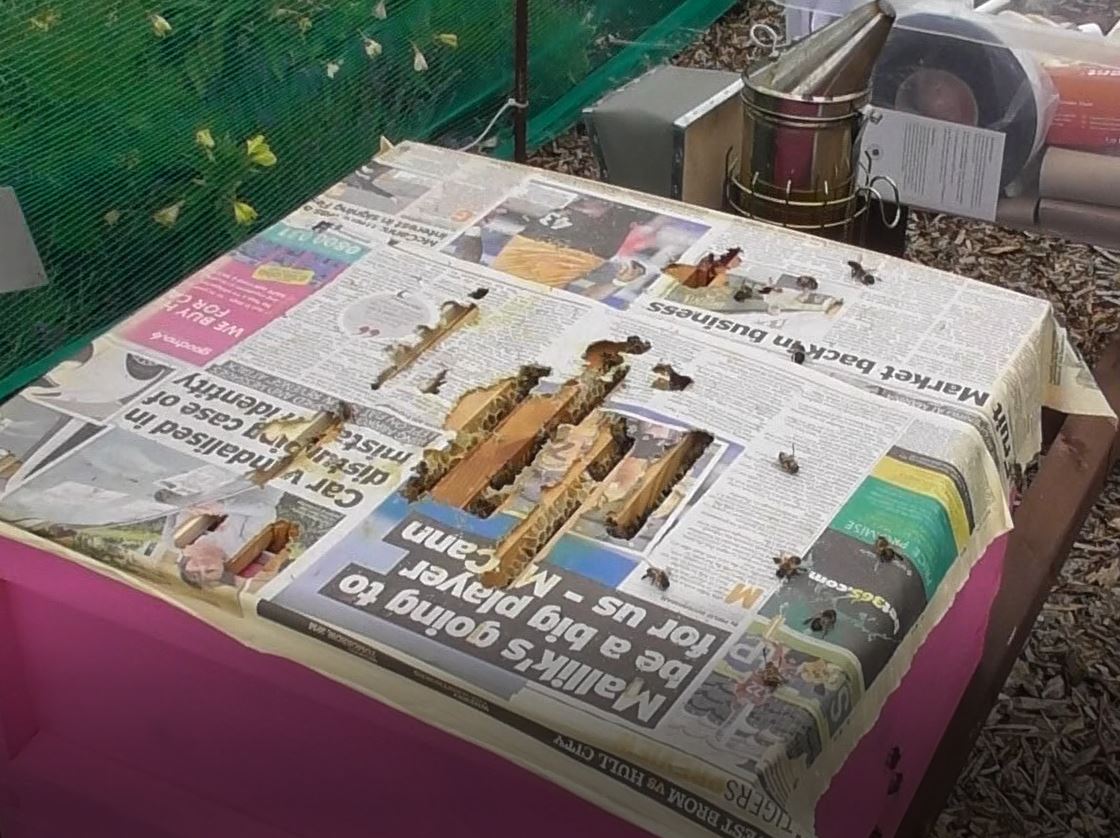 Only half the split works and I don't know why - Beverley Beekeepers ...